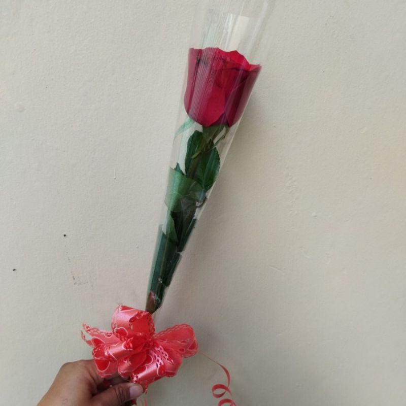 Jual bunga mawar asli bunga mawar tangkai mawar asli buket wisuda asli ...