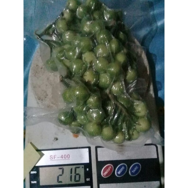 Jual Buah Sayur Rimbang | Shopee Indonesia