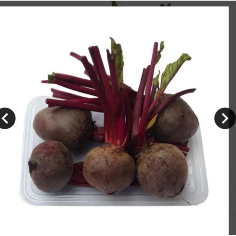 Jual Buah Beet (beet root) | Shopee Indonesia