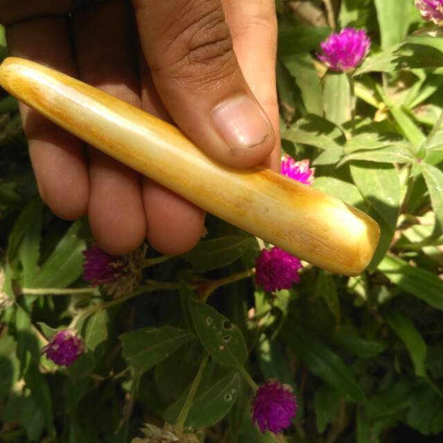 Jual CANGKLONG TULANG KERBAU once Warna gading | Shopee Indonesia