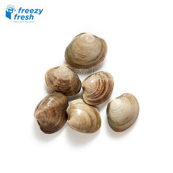 Jual Freezy Fresh Kerang Kepah Segar 850gram | Shopee Indonesia