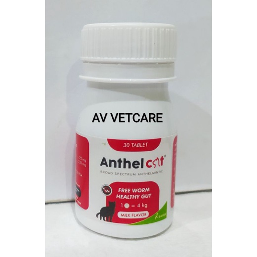 Jual ANTHEL CAT ( OBAT CACING KUCING ) | Shopee Indonesia