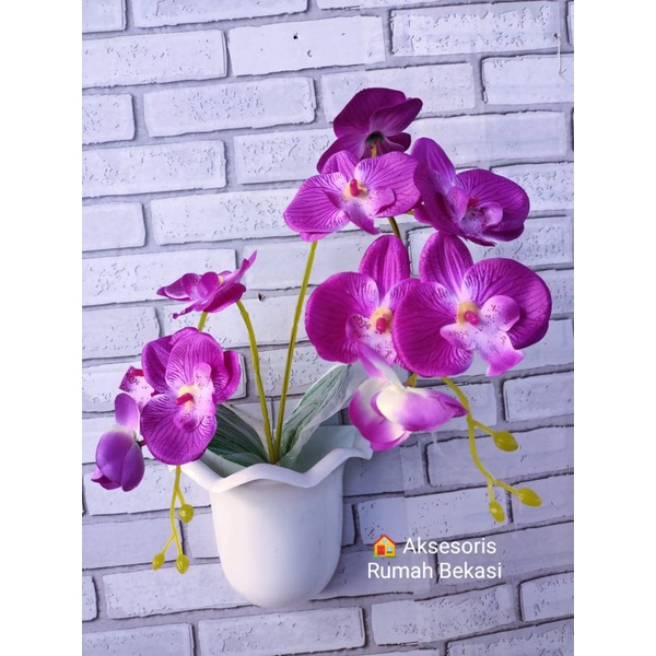 Jual SET BUNGA PLASTIK ANGGREK 2 CABANG BESAR DENGAN POT DINDING OMBAK ...