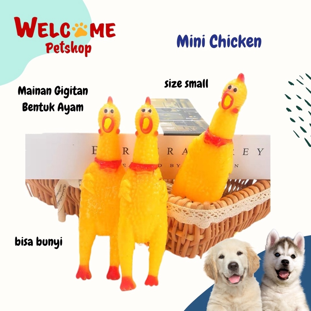 Jual Mini Chicken / Mainan Gigitan Anjing / Mainan Anjing / Dog Toy ...