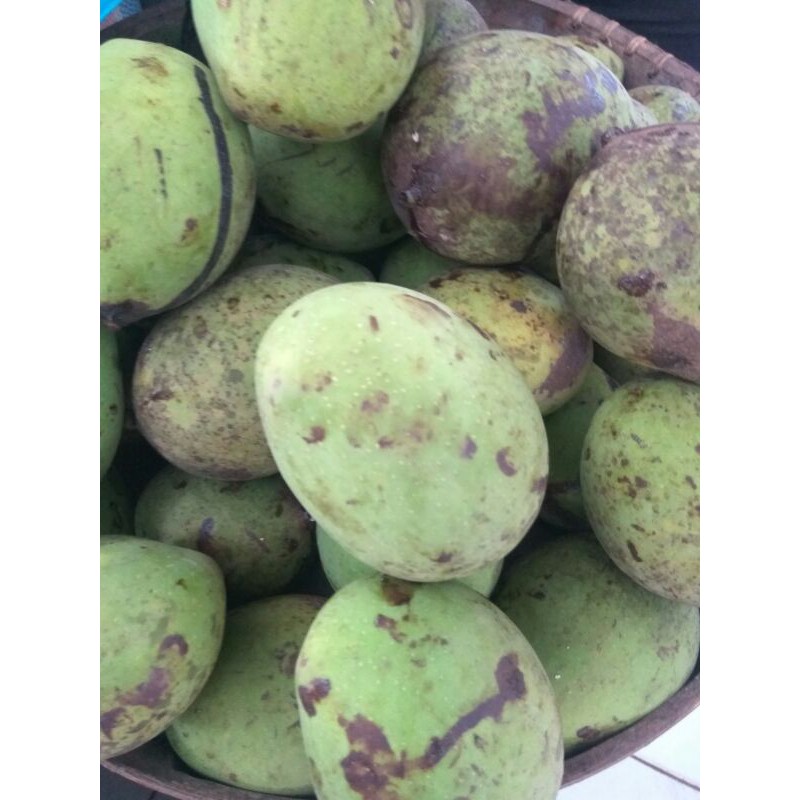 Jual Buah Pakel 1 kg | Shopee Indonesia