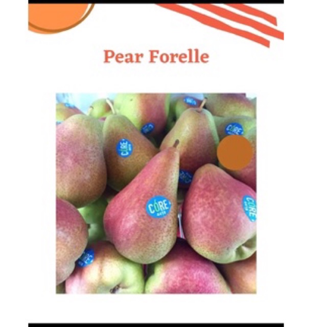 Jual Pear Forelle/Pear Merah | Shopee Indonesia