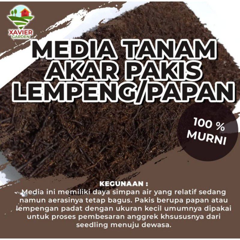 Jual media tanam pakis lempeng/papan( media anggrek) | Shopee Indonesia
