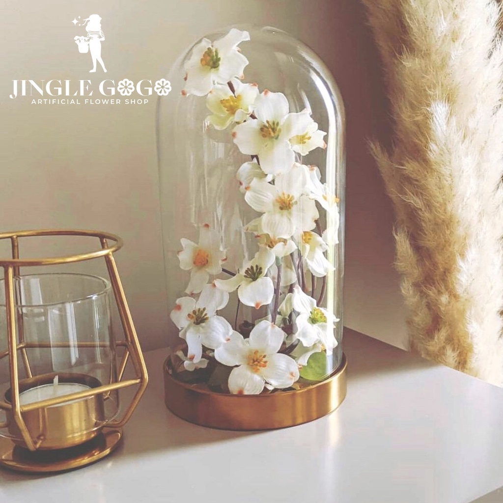 Jual Glass Dome Gold Vas Kaca Bunga Kering /Dried Flower / Preserved ...