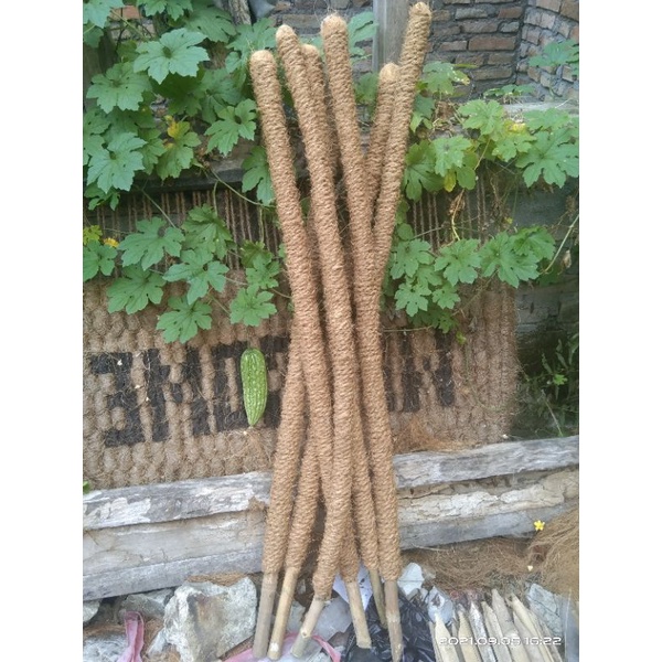 Jual turus penyangga tanaman (1 meter) | Shopee Indonesia
