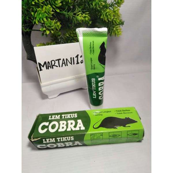 Jual LEM TIKUS CAP COBRA 70 GR | Shopee Indonesia