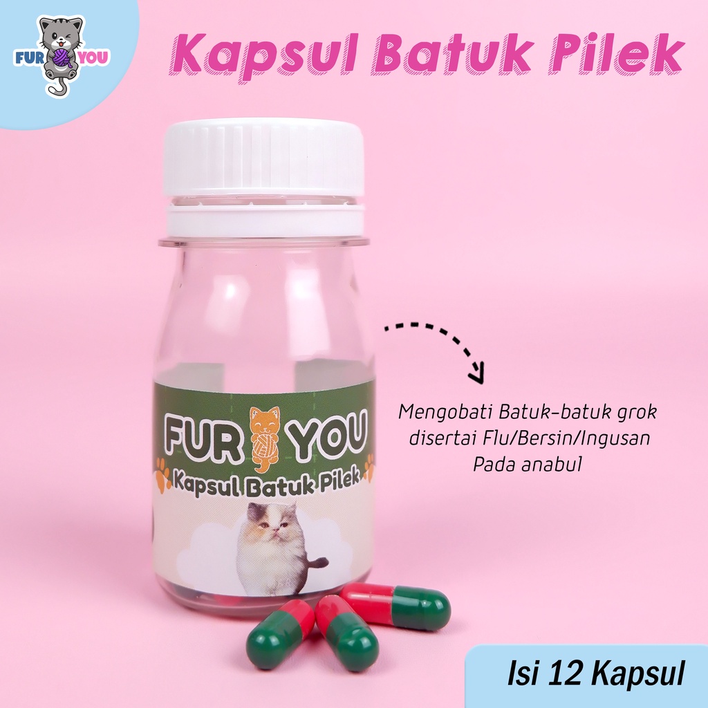 Jual Kapsul Batuk Pilek Anabul Batuk Dan Flu Furyou Fur You Catheatlh Shopee Indonesia