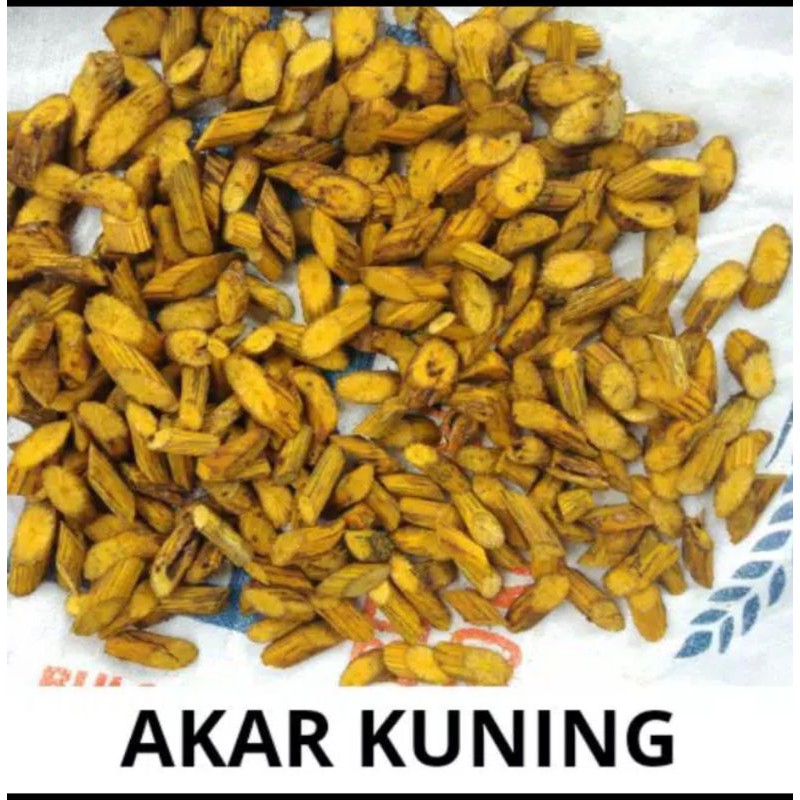 Jual bajakah akar kuning asli Kalimantan 1 kg | Shopee Indonesia