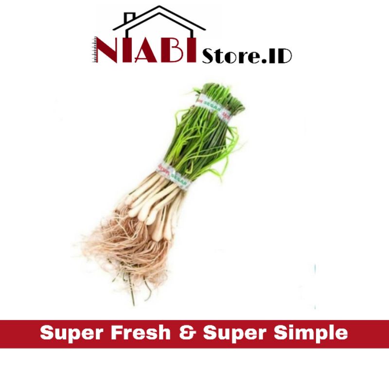 Jual DAUN BAWANG LOKIO / LOKIO SEGAR | Shopee Indonesia