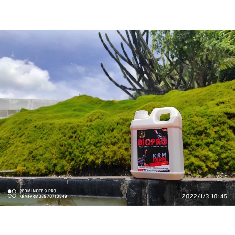 Jual BIO PRO PROBIOTIK AYAM / BEBAS CACING/TERBUKTI AMPUH/ORIGINAL ...