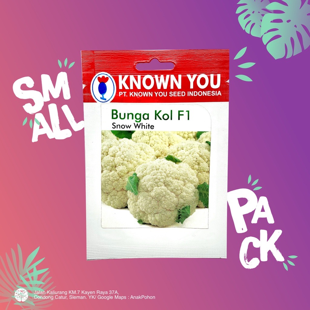 Jual (1 PACK) Benih Bunga Kol F1 Snow White - Known You Seed KYS - 140 SEEDS | Shopee Indonesia