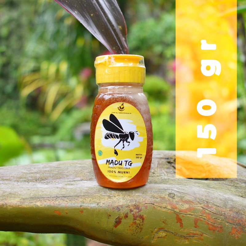 Jual Madu 100% Asli & Murni ( Trigona / Kelulut / Teuweul / Lanceng ...