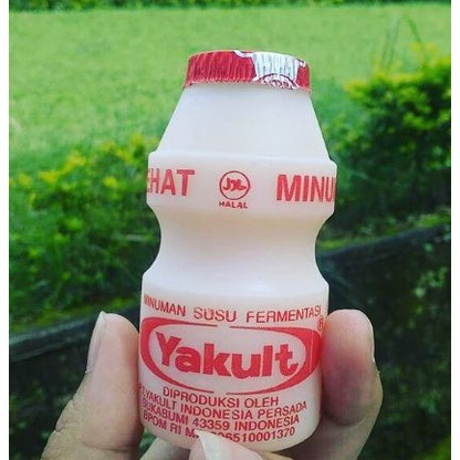 Jual Yakult 1 pack 5 pcs | Shopee Indonesia