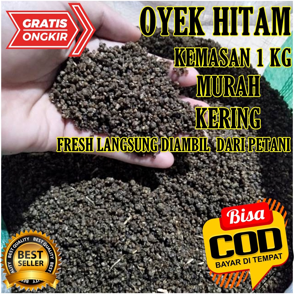 Jual Makanan Tradisional Khas Jawa Nasi OYEK/NASI TIWUL HITAM | Shopee ...