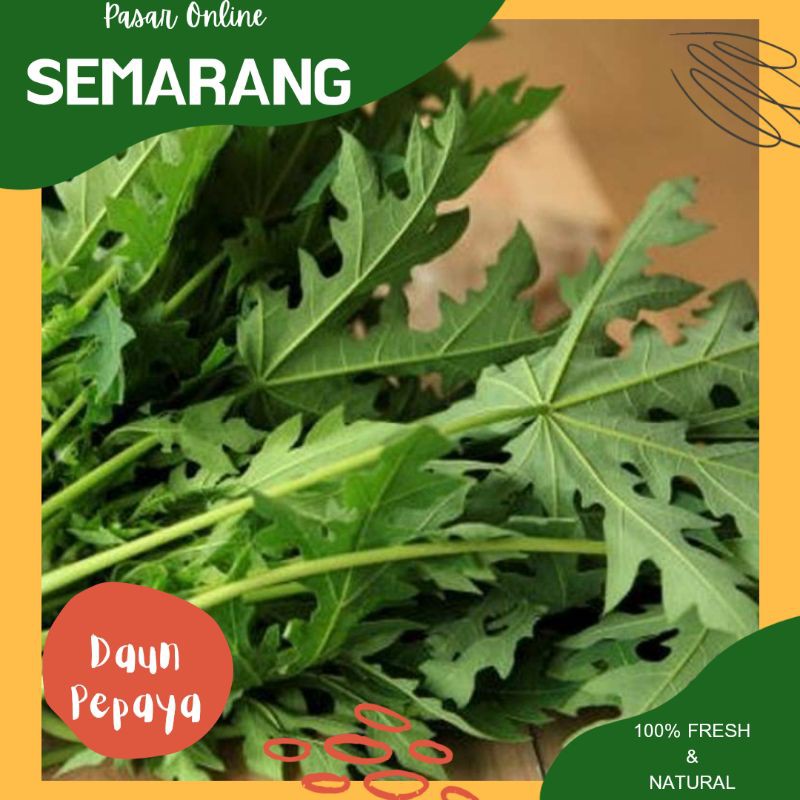 Jual Sayur Sayuran / Daun Pepaya / Godong Kates / Dong Kates / Fresh ...