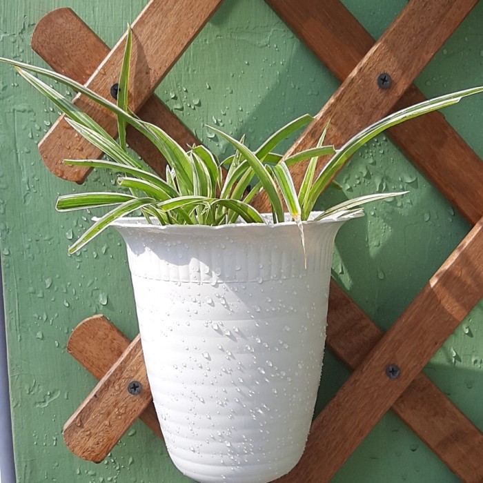 Jual POT DINDING TAWON PLASTIK / POT TEMBOK HIAS / POT GANTUNG / POT ...