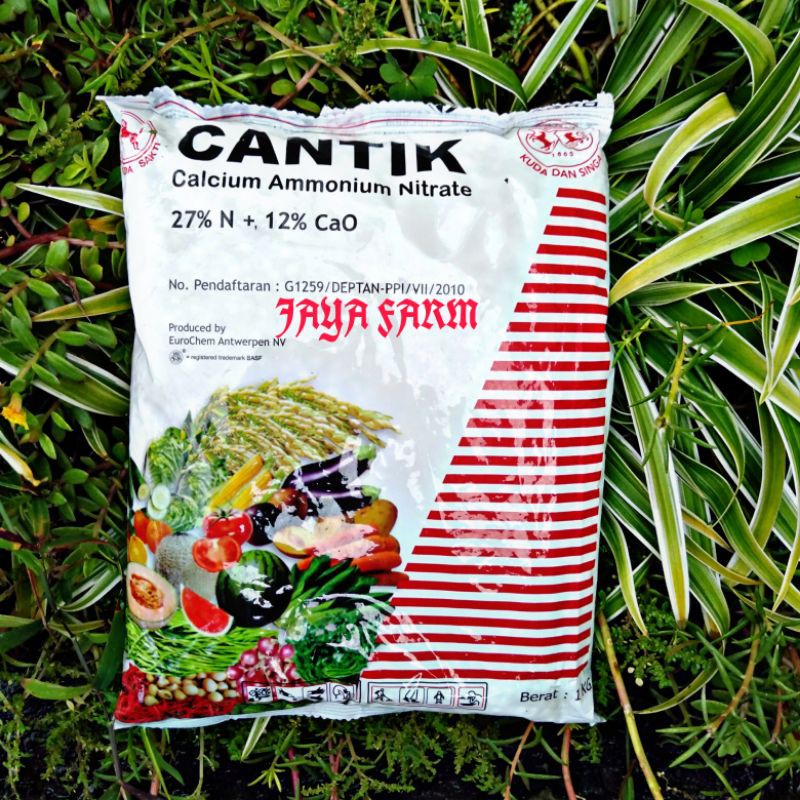 Jual PUPUK UNTUK PERTUMBUHAN TANAMAN "CANTIK 1KG | Shopee Indonesia