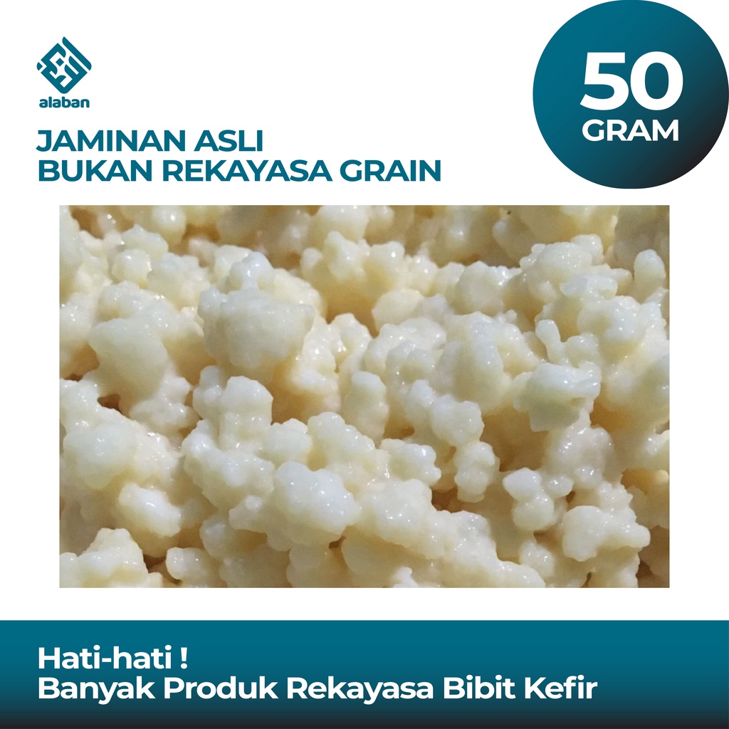 Jual Bibit Kefir Grains Hidup Bisa Digunakan Selamanya | Shopee Indonesia