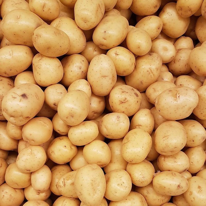 Jual KENTANG SEGAR 1KG KENTANG MURAH | Shopee Indonesia