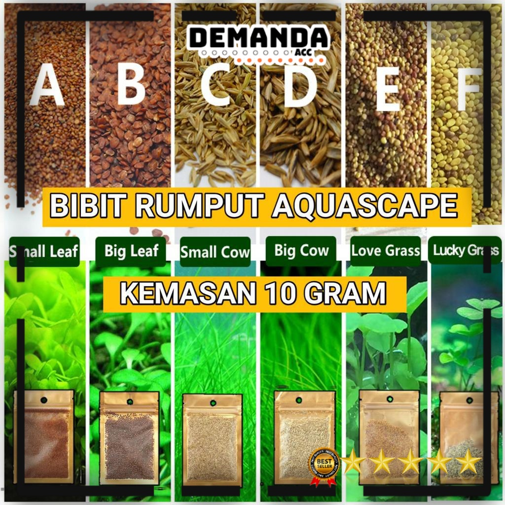 Jual Biji Benih Bibit Rumput Tanaman Aquascape Carpet Seed Benih Bibit ...