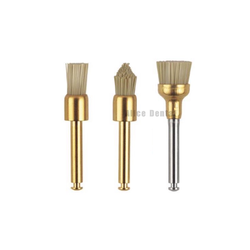 Jual Dental astro brush high glossy bur polishing astrobrush burs poles ...