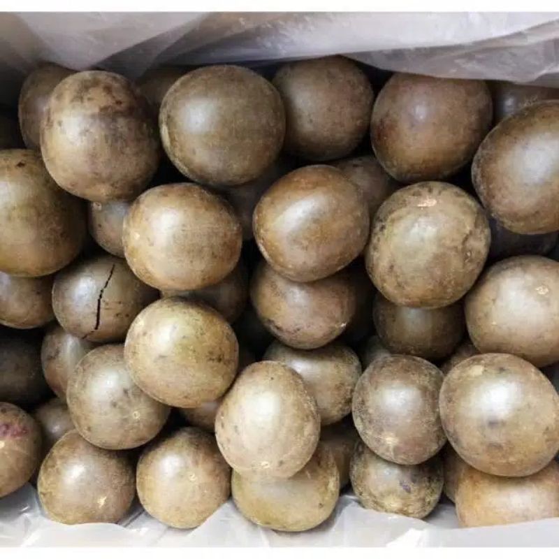 Jual LL - LO HAN KUO LOHANKO / LOHANKUO 100% asli | Shopee Indonesia