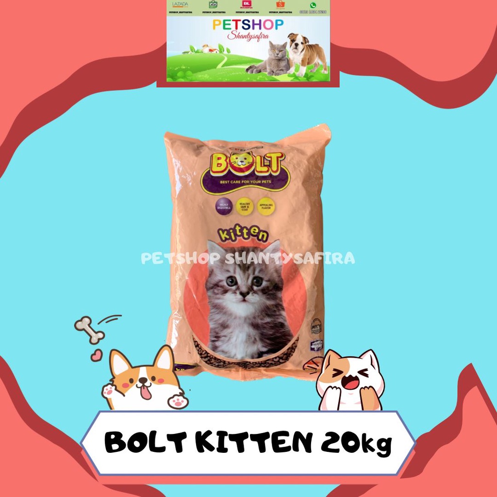 Jual MAKANAN KUCING BOLT KITTEN SALMON 20 KG | Shopee Indonesia