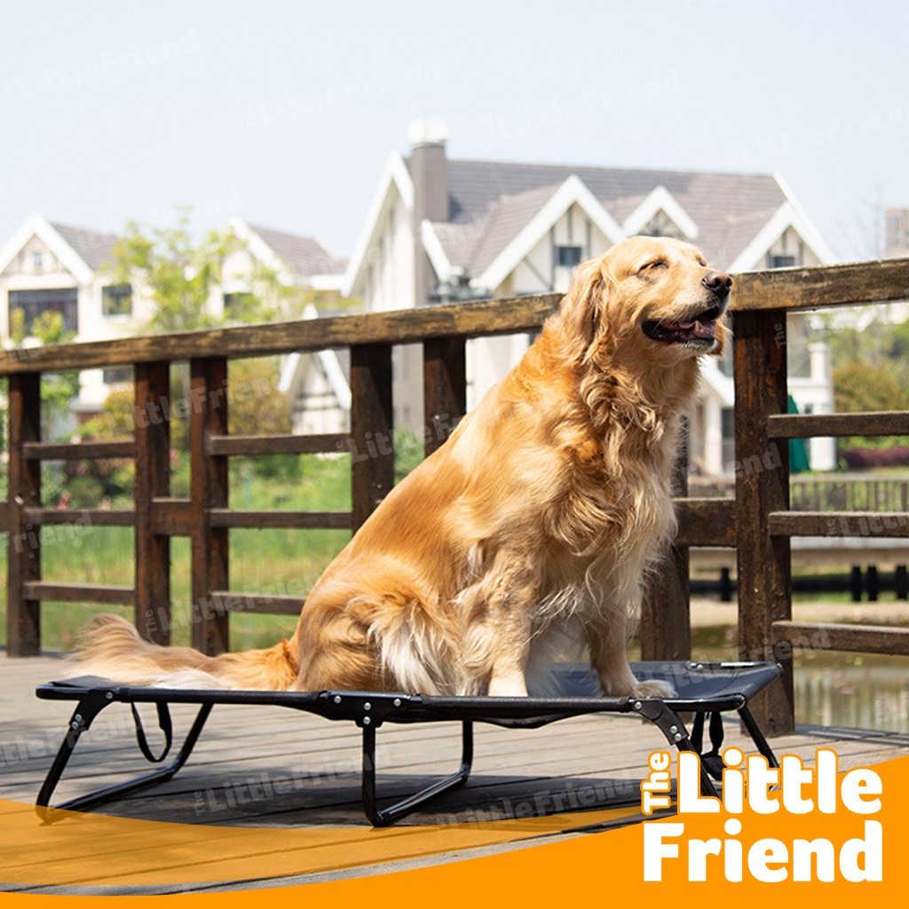 Jual Tempat Tidur Anjing Kucing Dog Elevated Bed Portable Bisa Dilipat ...
