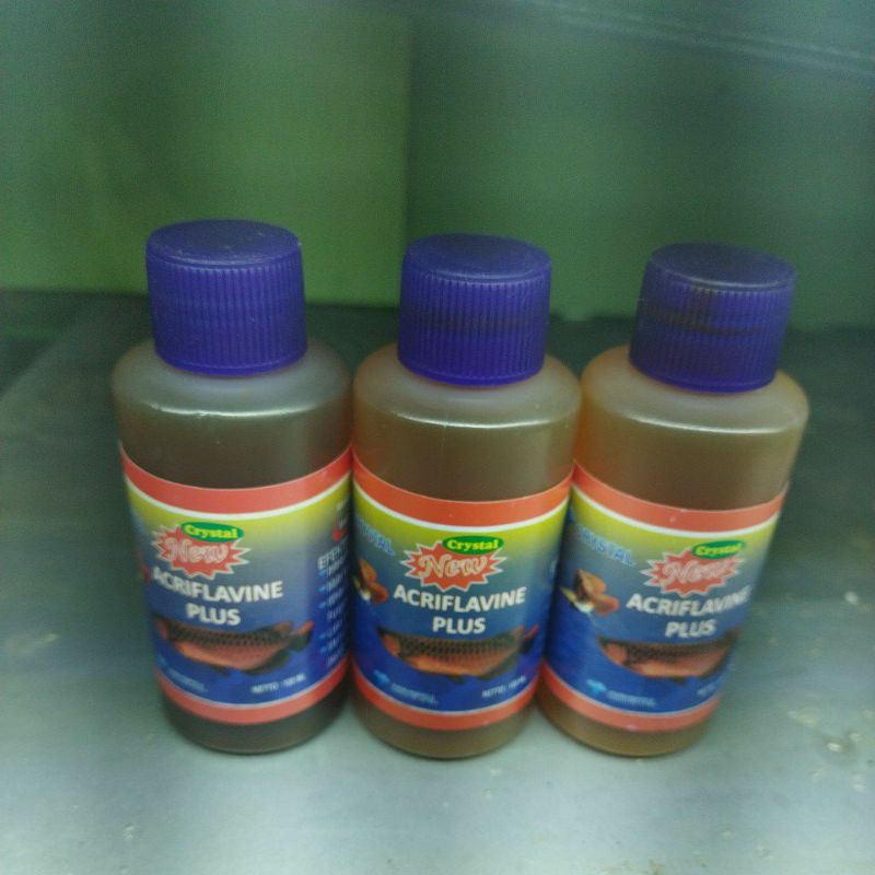 Jual Acriflavine Obat Kuning Ikan Chana Channa Predatos | Shopee Indonesia
