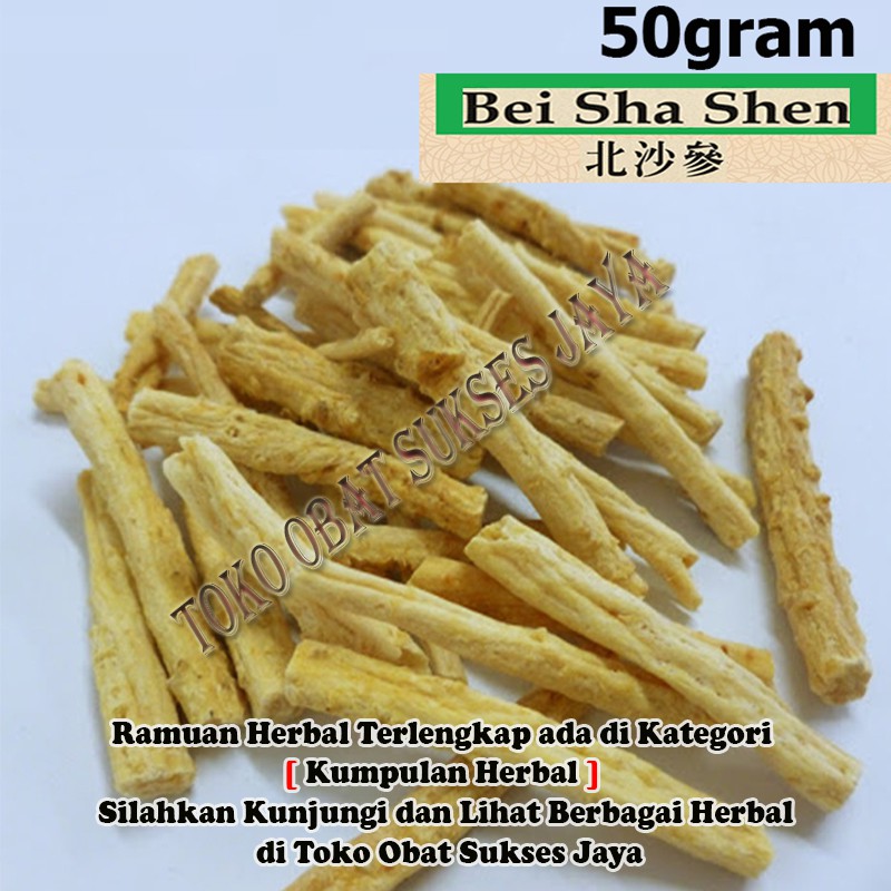 Jual [50gram] Bei Sha Shen - [ 北沙參 ] - Radix Glehniae Littoralis | Shopee Indonesia