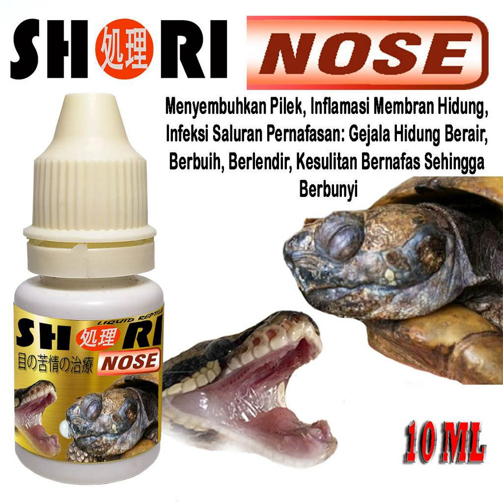 Jual SHORI NOSE OBAT GANGGUAN PERNAPASAN ULAR TORTO PILEK SULCATA ...