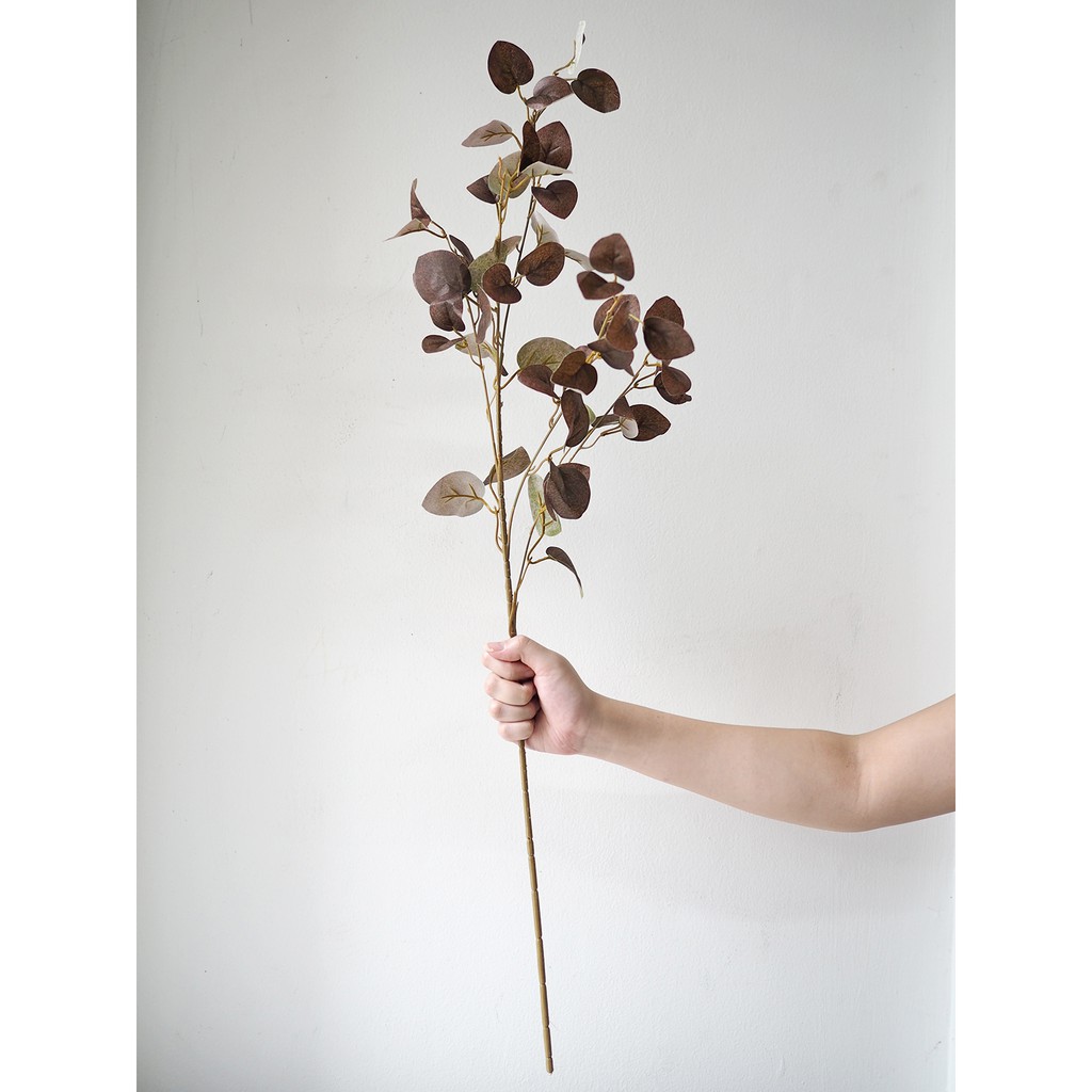 Jual Eucalyptus Populus Coklat Lancip Artifisial / Artificial Brown ...