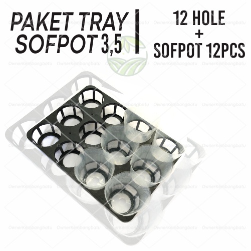 Jual PAKET TRAI ANGGREK + SOFPOT | TRAI ANGGREK MURAH | POT ANGGREK ...