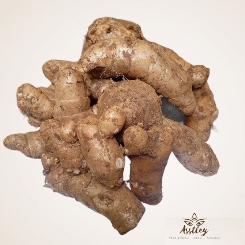 Jual Temu Ireng Atau Temu Hitam Curcuma 1 Kg Segar Tua Pilihan | Shopee ...