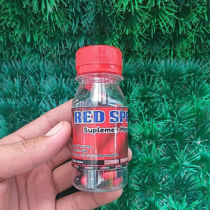 Jual RED SPRINTER MEXICO UNTUK TENAGA DAN TURUN MAKIN NGEBOM | Shopee ...