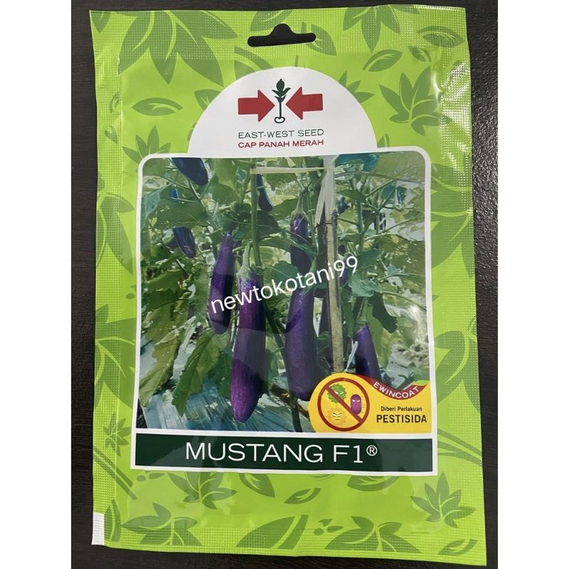 Jual Benih terong ungu hibrida MUSTANG F1 1100 butir terung panah merah | Shopee Indonesia