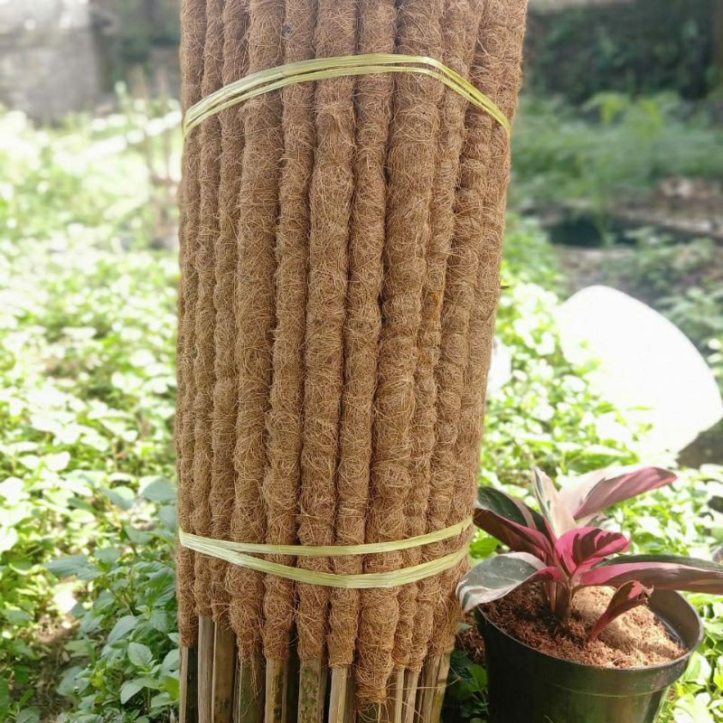 Jual turus bambu sabut kelapa 60cm penyangga tanaman | Shopee Indonesia