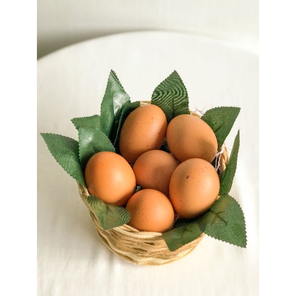 Jual Telur Ayam Negeri Fresh High Quality (harga per kilo) | Shopee ...