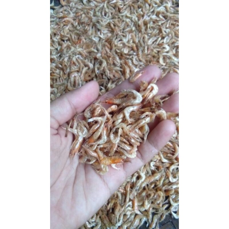 Jual (M 100 Gram)Udang Kering Tawar Udang Sawah/Sungai Ukuran Sedang ...