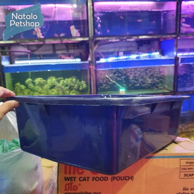 Jual Tempat Pasir Kucing Besar Murah / Cat Litter Box | Shopee Indonesia