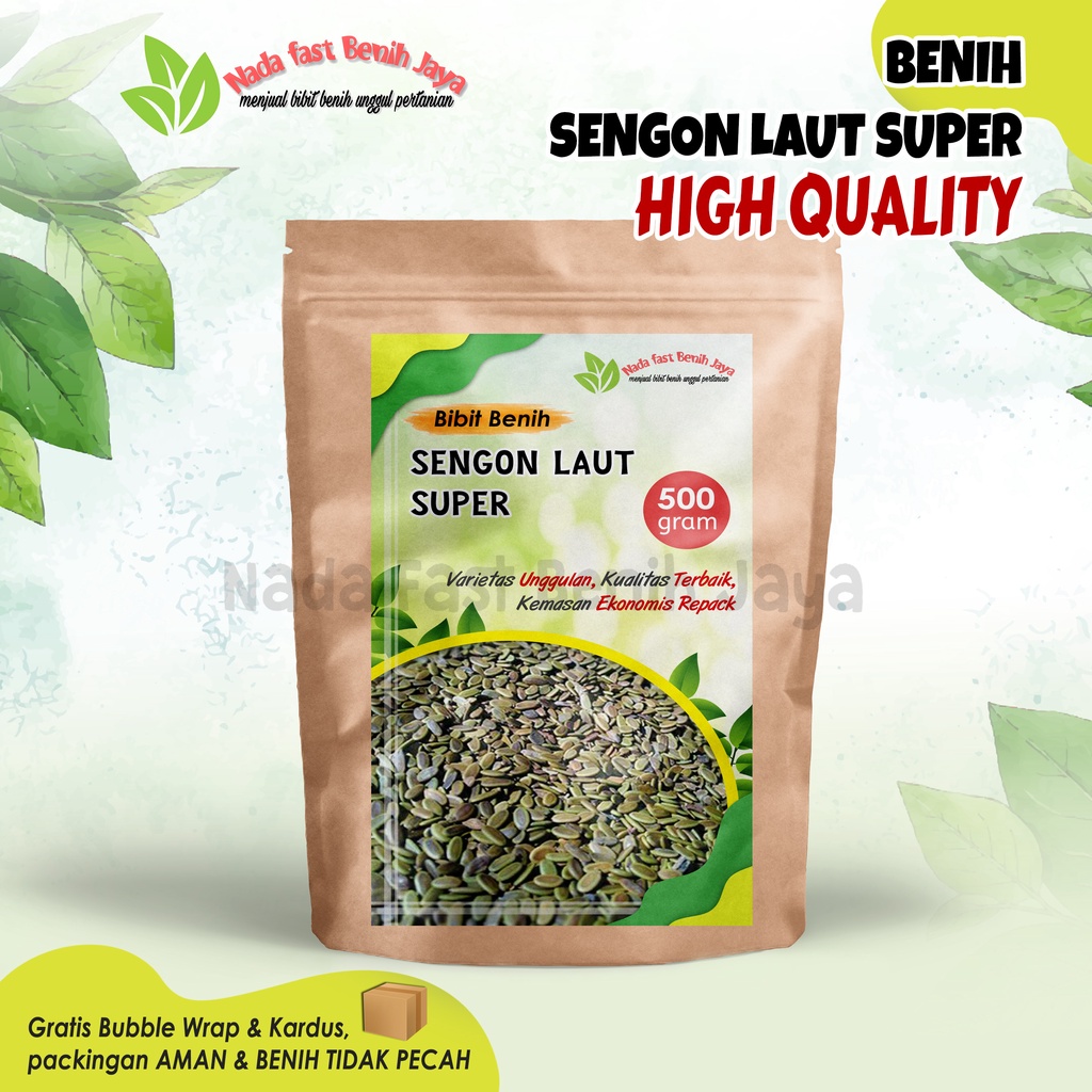 Jual 500 gram Bibit benih Sengon laut super / benih albasia terbaik ...