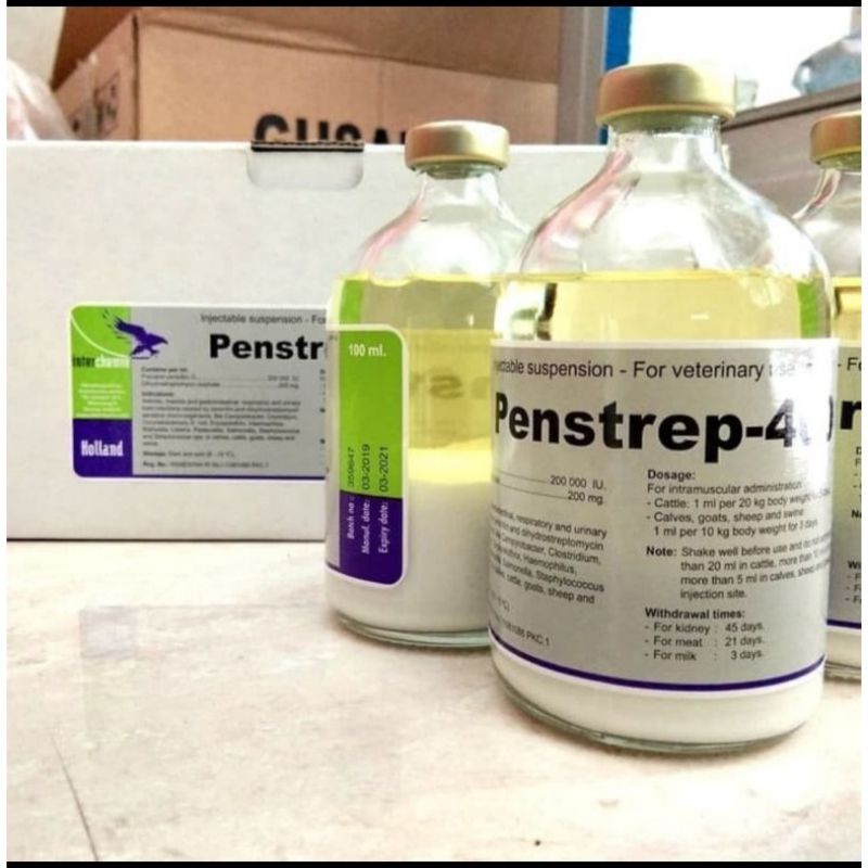 Jual Penstrep-400 100 ml 100ml Penstrep | Shopee Indonesia