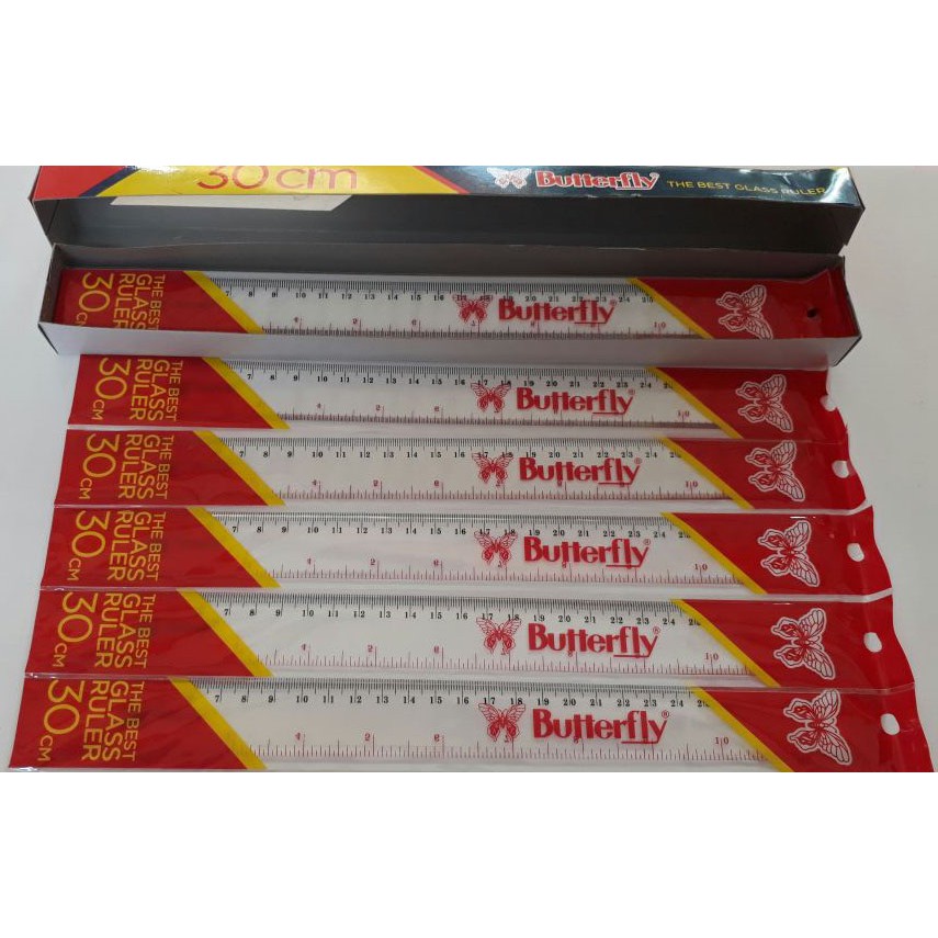 Jual PENGGARIS PLASTIK 30CM | Shopee Indonesia