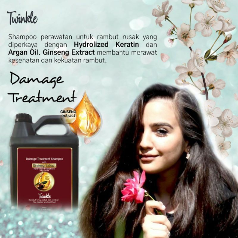 Jual Shampoo Perawatan Rambut Twinkle 5 Liter | Shopee Indonesia