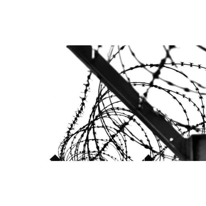 Jual 25D40 Kawat Duri Silet / Razor Wire Bto 22 Fr50F1R | Shopee Indonesia