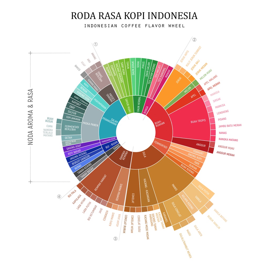 Jual Seniman Coffee-Poster Roda Rasa-Flavor Wheel Poster | Shopee Indonesia
